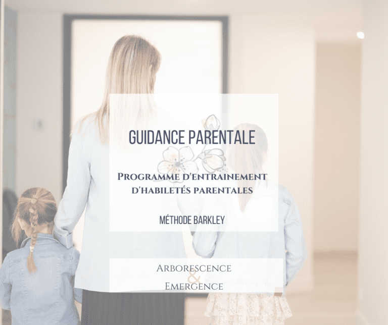 Programme d’Entraînement aux Habiletés Parentales (PEHP) Méthode ...